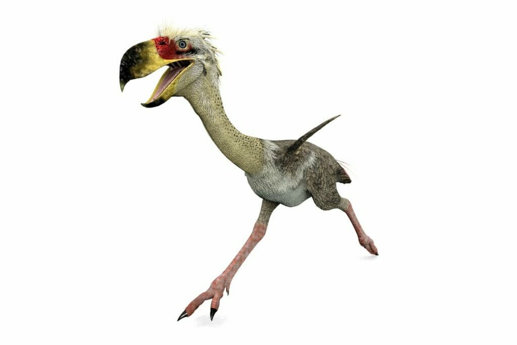 Forget Lions, Tigers, And Bears: 13 Terrifying Animals You’ll Be Glad ...