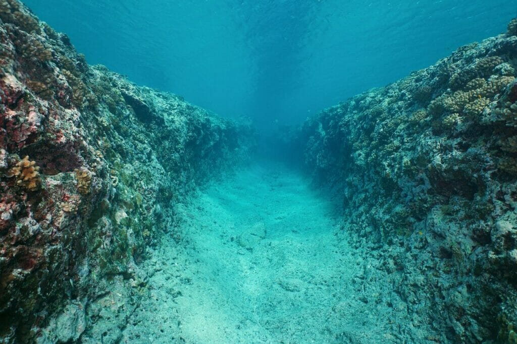 5 Mysterious Abyssal Zone Creatures Thriving In Extreme Depths