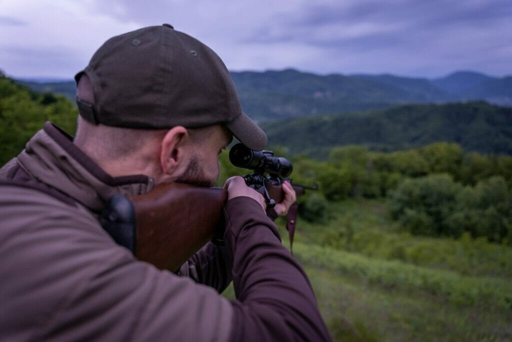 Hunting To Be Banned? How Wildlife Would Be Affected - Cool Wood ...