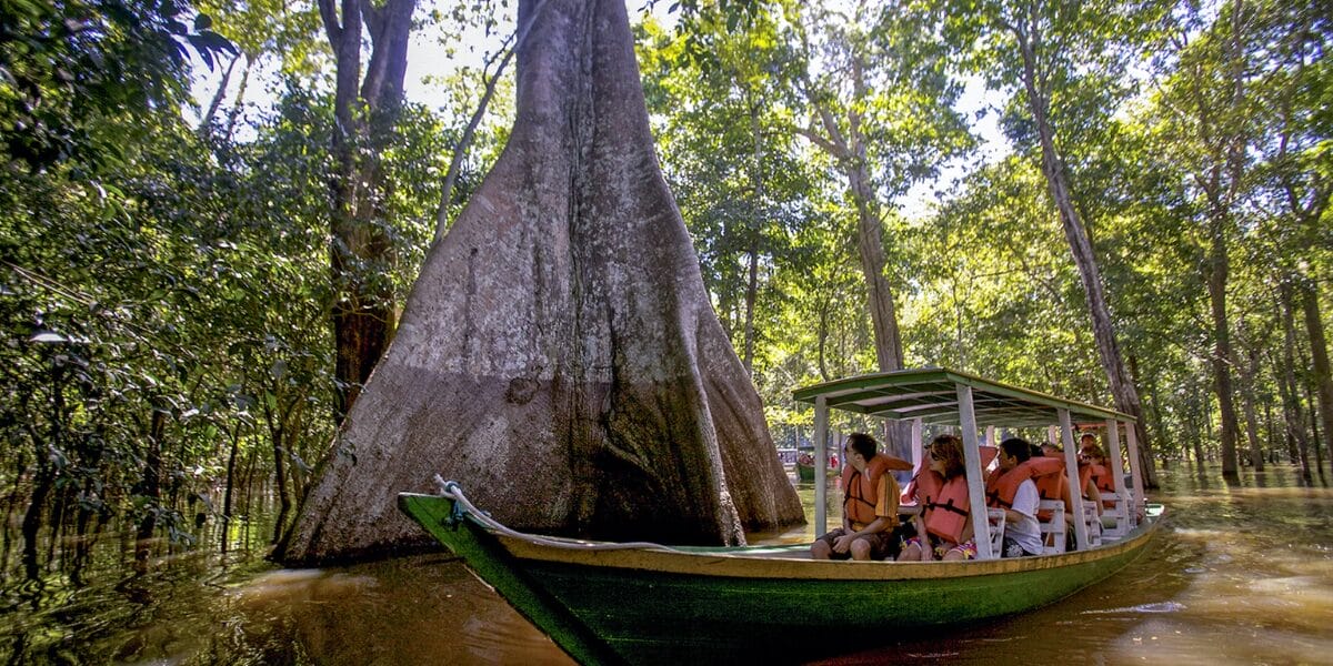 11 Interesting Animals In Colombia - You Might Not Know